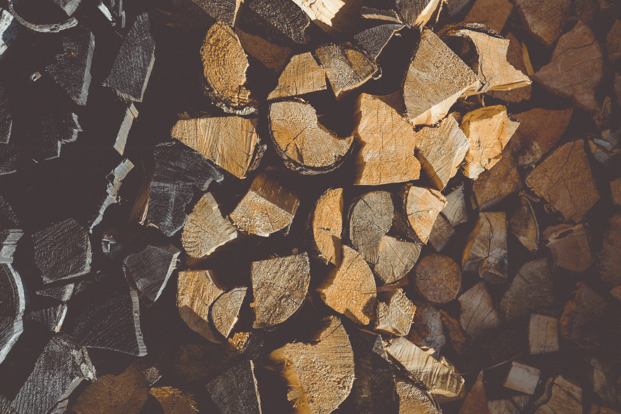 Doing Things Decently and in Order | Renner Ministries