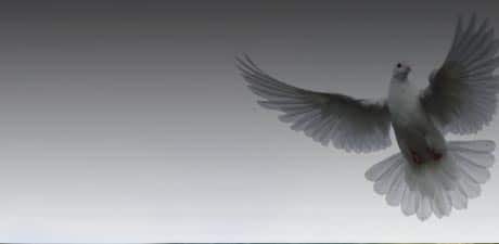 Corrupt Communication | Renner Ministries