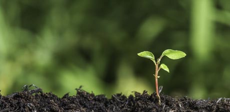 Work While There Is Still Light To Work! | Renner Ministries