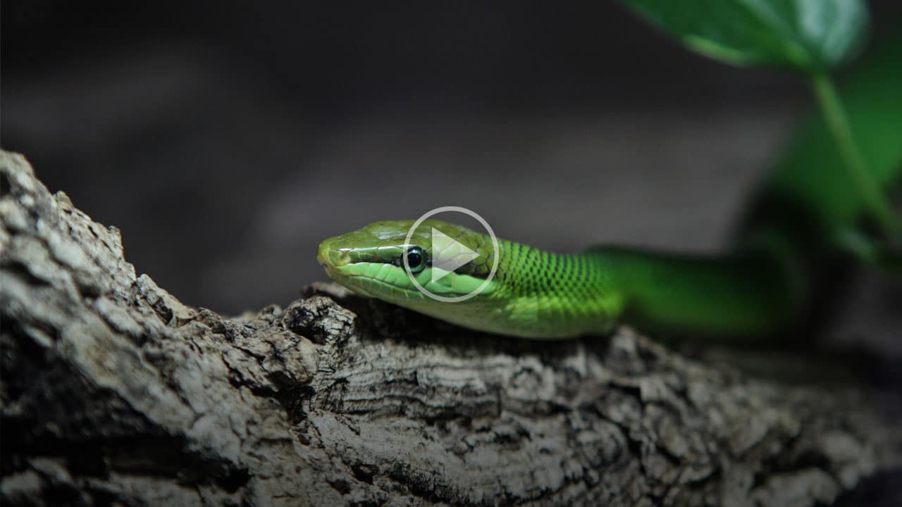 Seducing Spirits and Doctrines of Demons | Renner Ministries