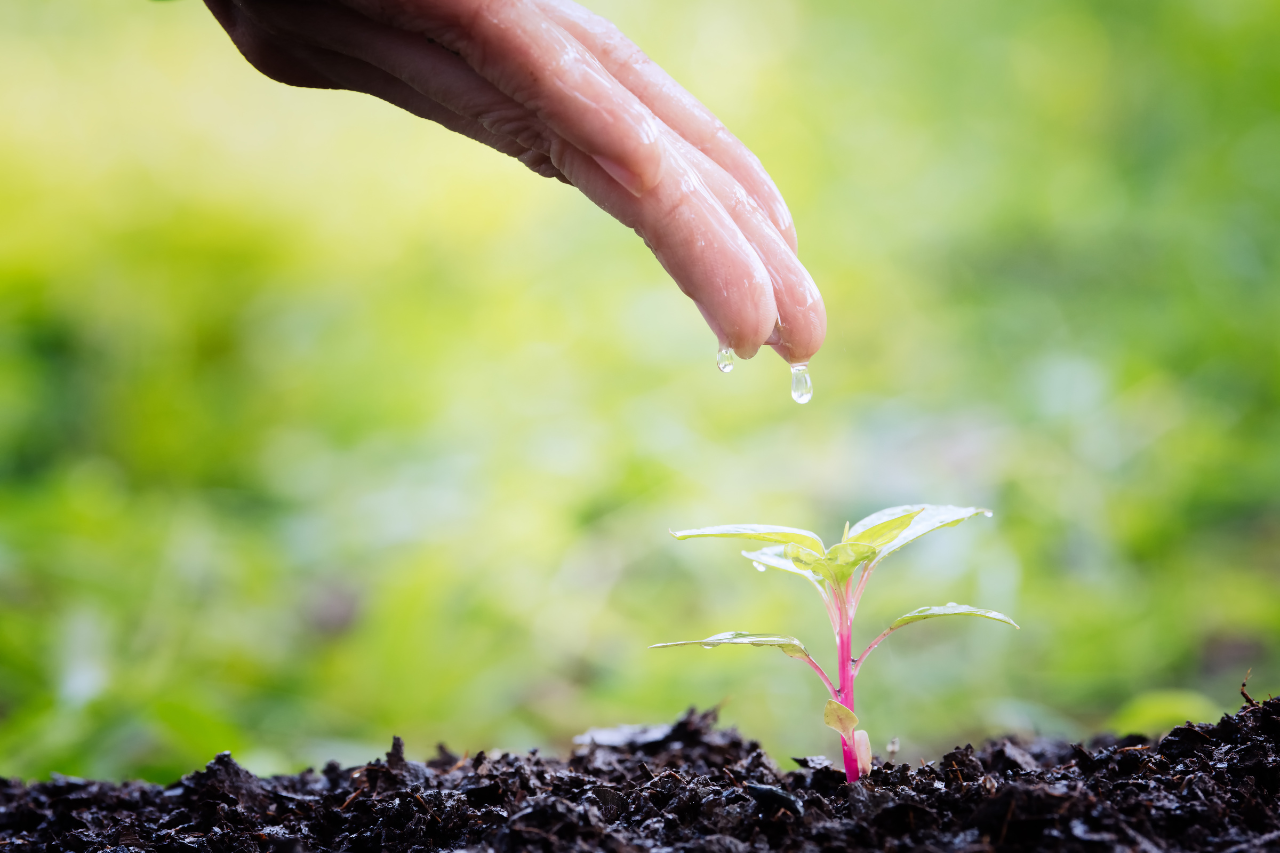 Early Beginnings | Renner Ministries