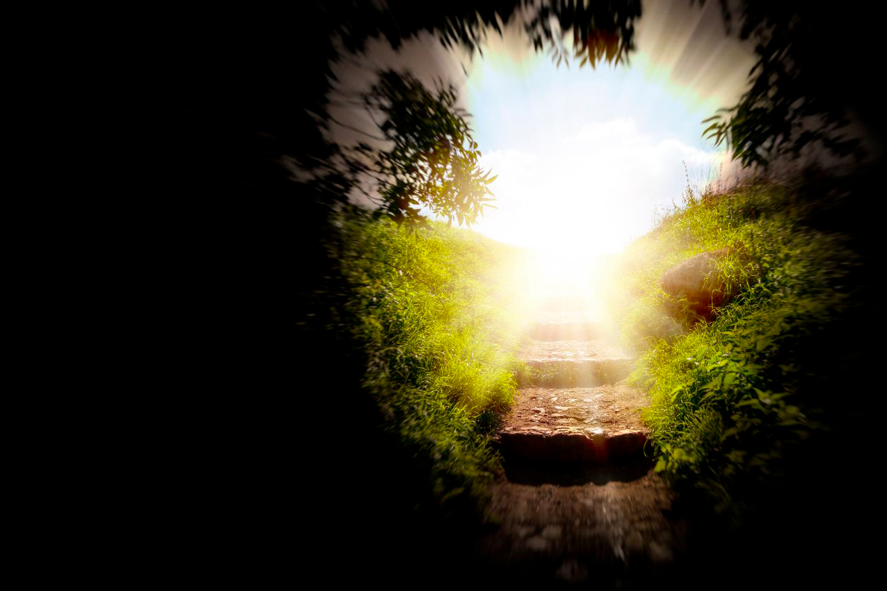 You Ve Got What It Takes Renner Ministries