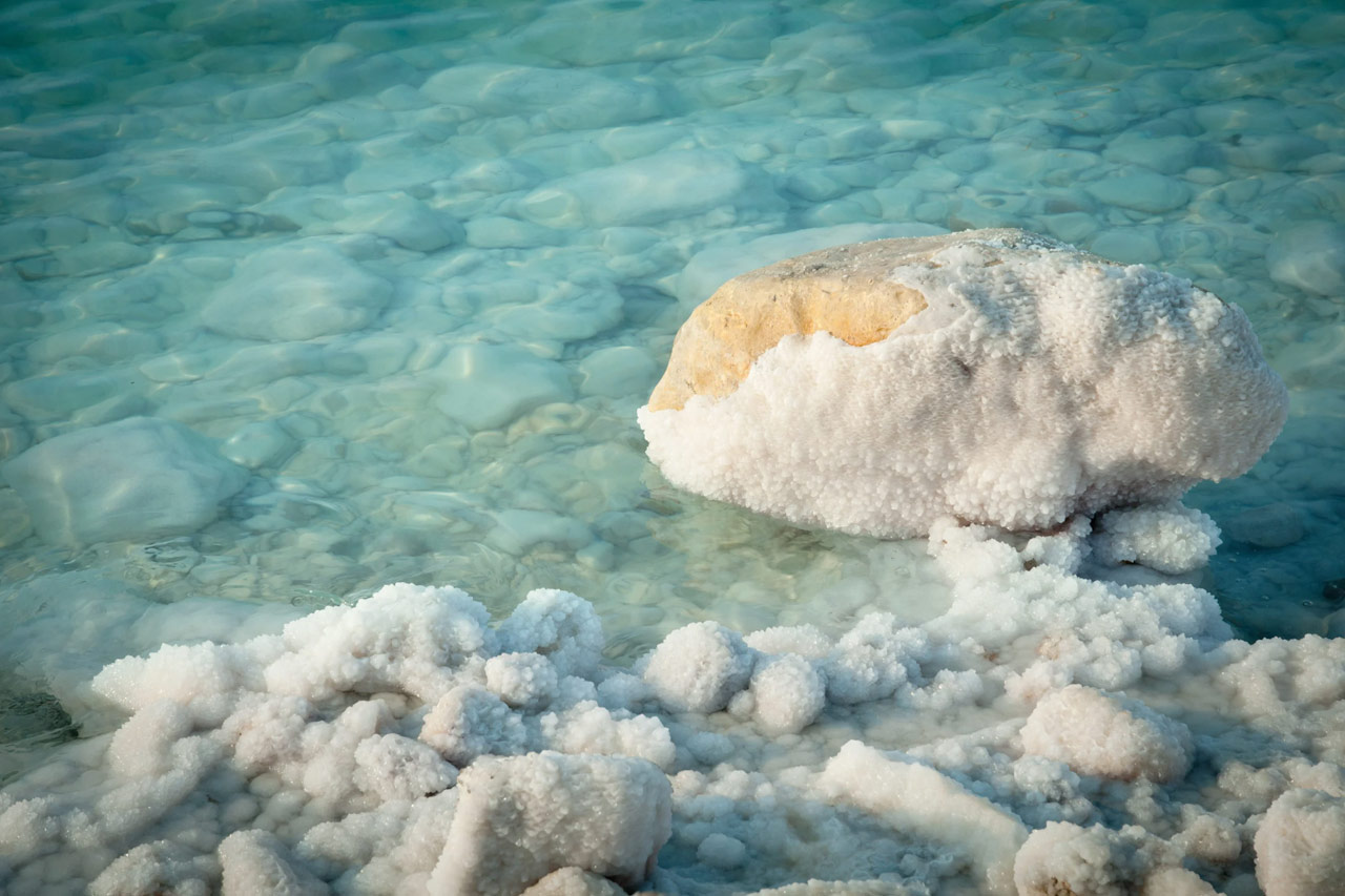 You Are the Salt of the Earth | Renner Ministries